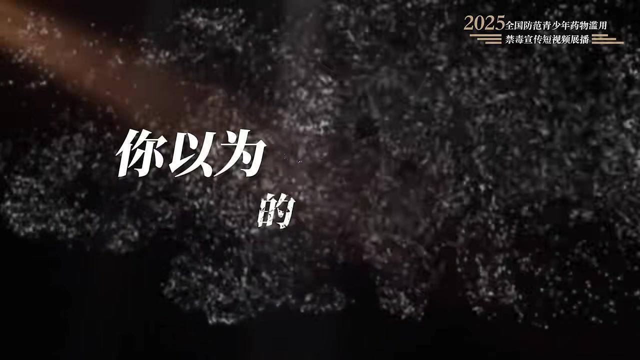 禁毒宣传短视频《你以为的就是你以为的吗?》(宁夏回族自治区禁毒办...