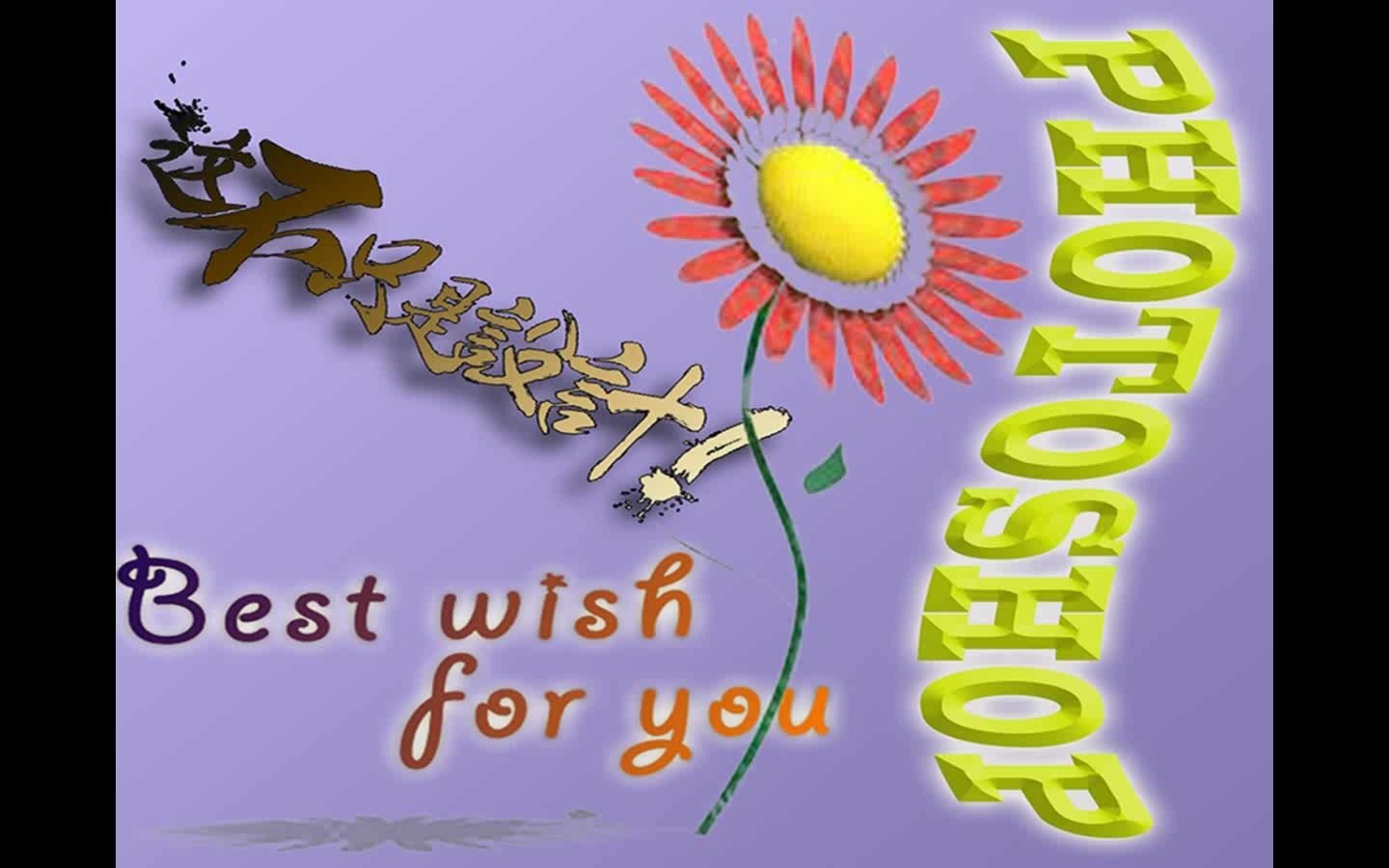 ps零基础自学-第22讲外挂滤镜与增效工具22.1了解外挂滤镜