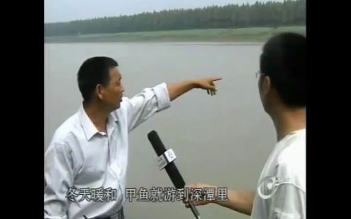 如何识别甲鱼“路”?怎么样用地笼、甲鱼笼子巧捕老鳖?用笼子捕捉...