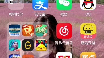 腾讯游戏充值记录也可以开发票!开完发票我为社会贡献了1200元