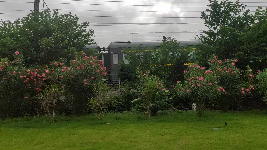 京广线拍车T369次列车