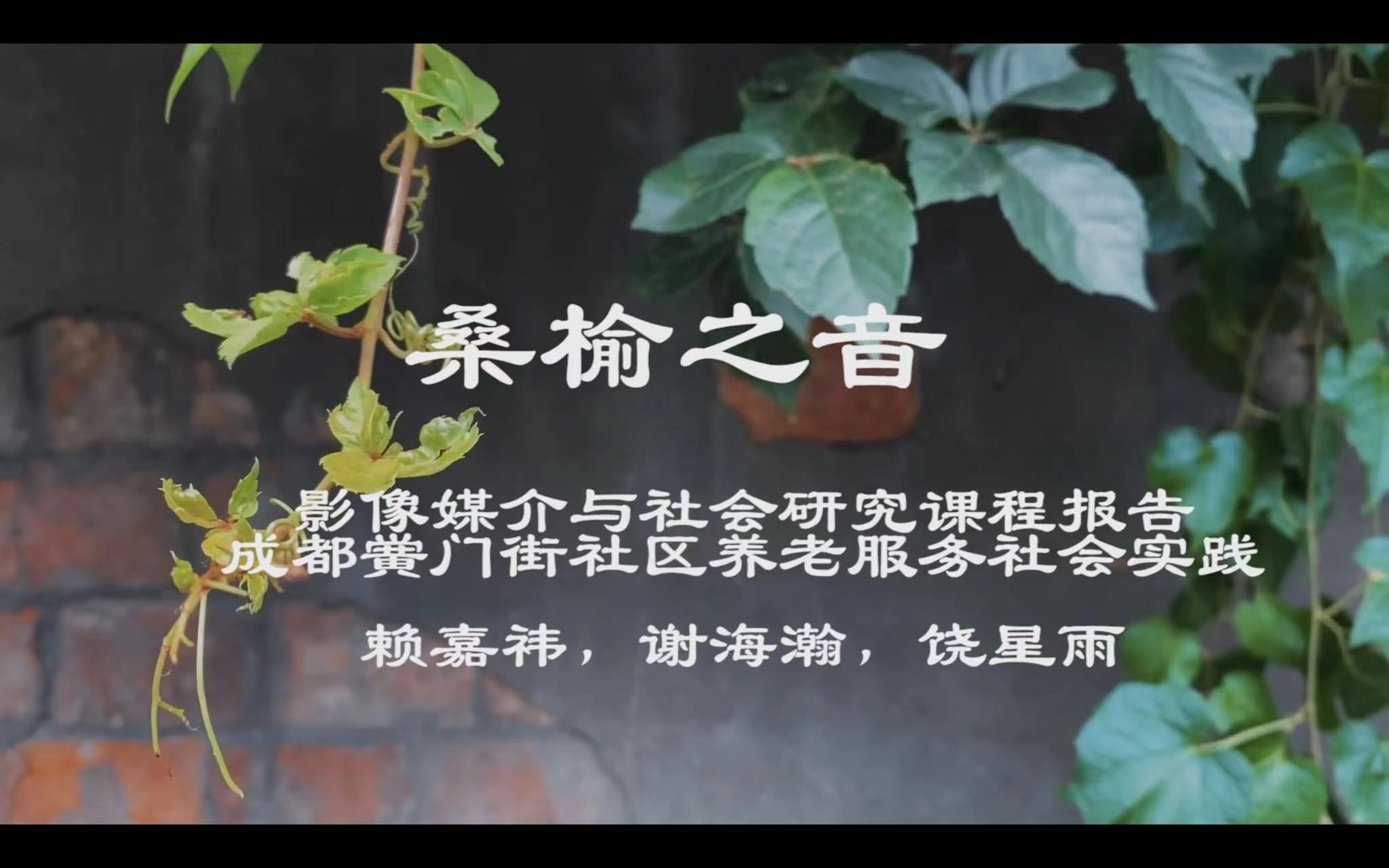 桑榆之音——黉门街居家养老社会调研报告视频 赖嘉祎,谢海瀚,饶星雨