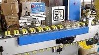 Full-automatic Pad Printing Machine(全自动瓶盖移印机)