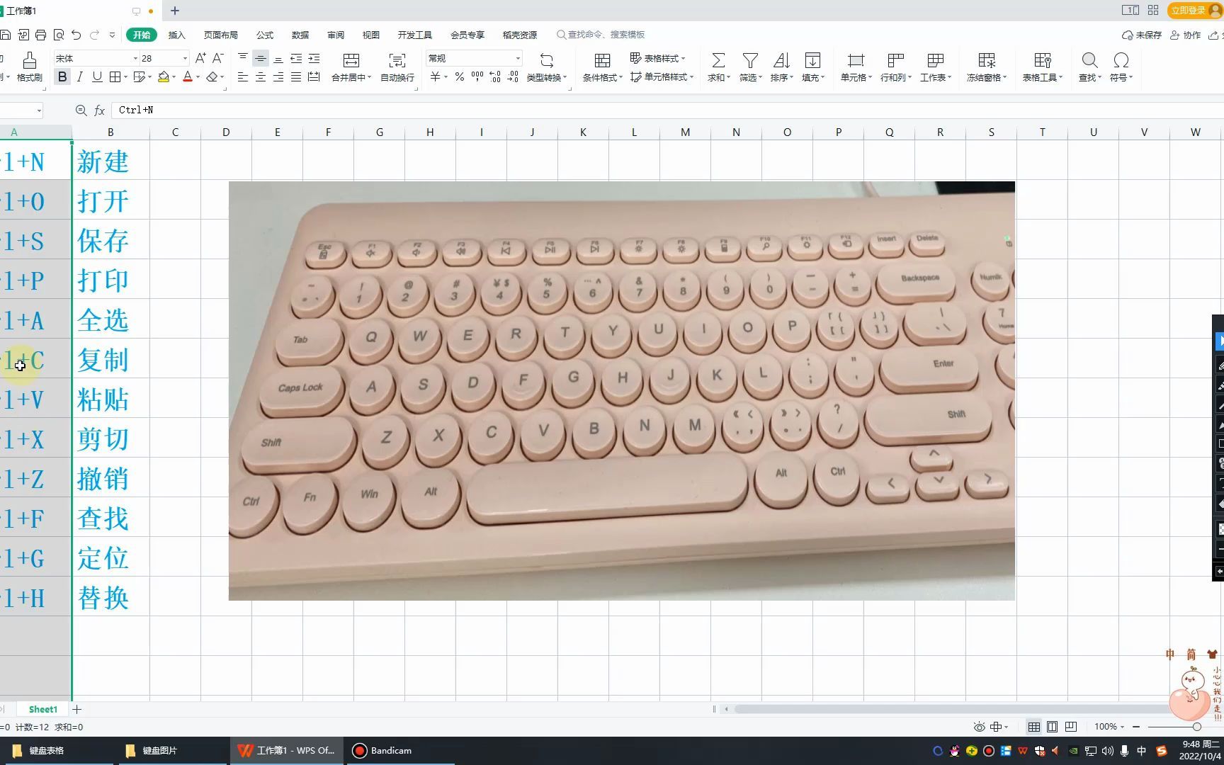 wps/office/Word/Excel/电脑办公软件文员自学,表格应用技巧