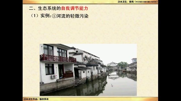 生态系统的稳定