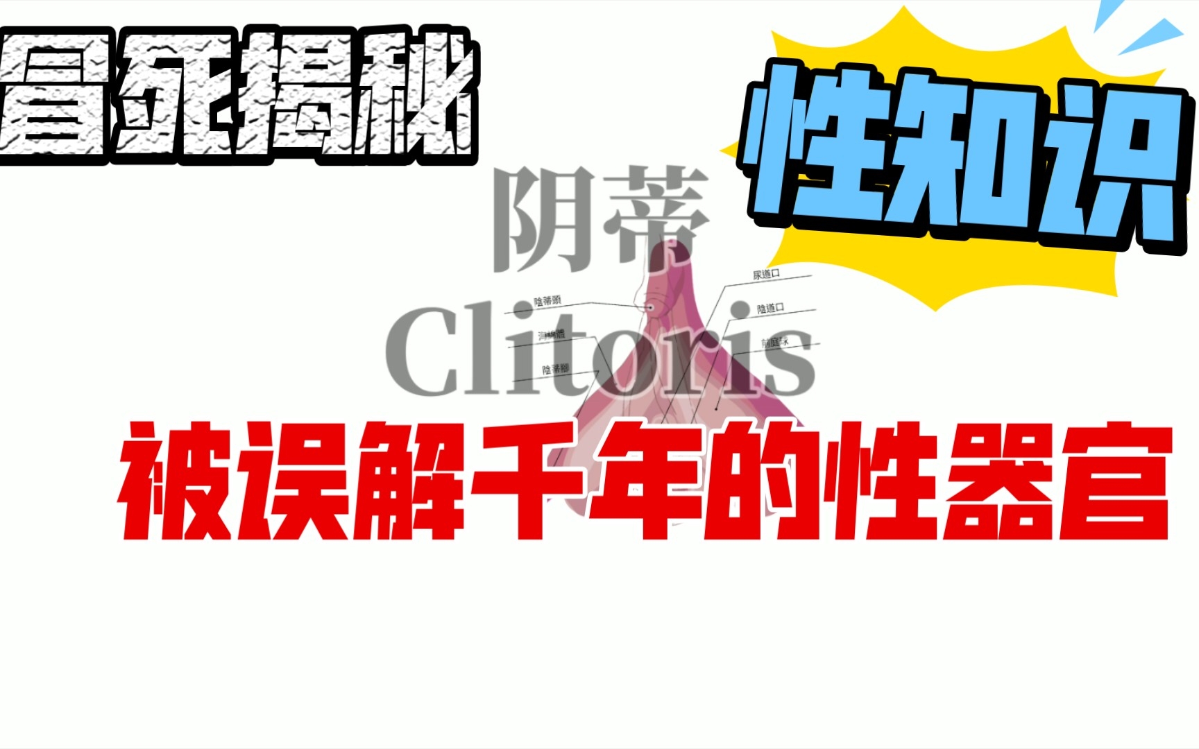 『性知识』阴蒂,被误解千年的性器官