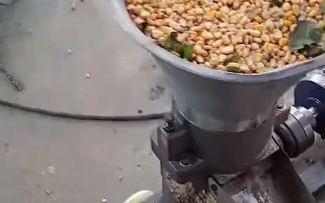 家用两项电饲料颗粒机