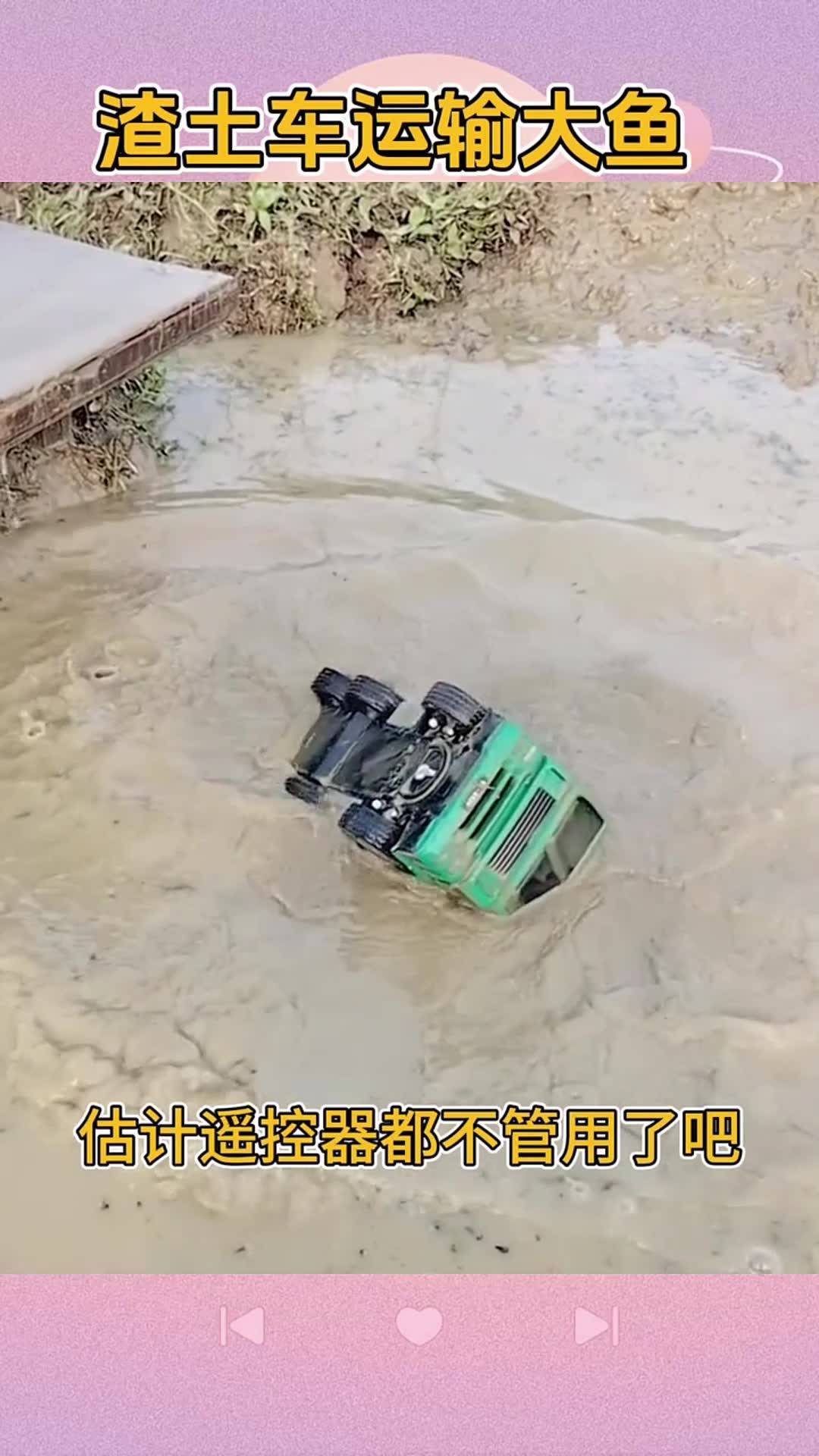 渣土车运大鱼,结果鱼太大了翻车掉水里了