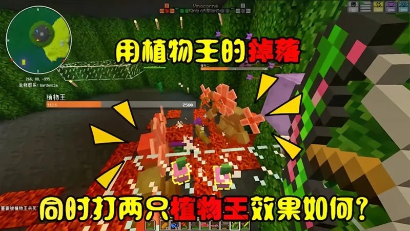 我的世界虚无3联机152攻略特长生:用植物王的掉落刷植物王怎么样