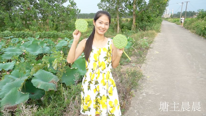 晨晨在池塘摘的这种水乡特产 绿色健康无污染 孕妇小孩都可以吃