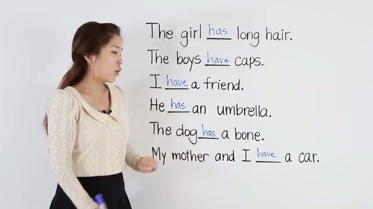 Have has用法讲解