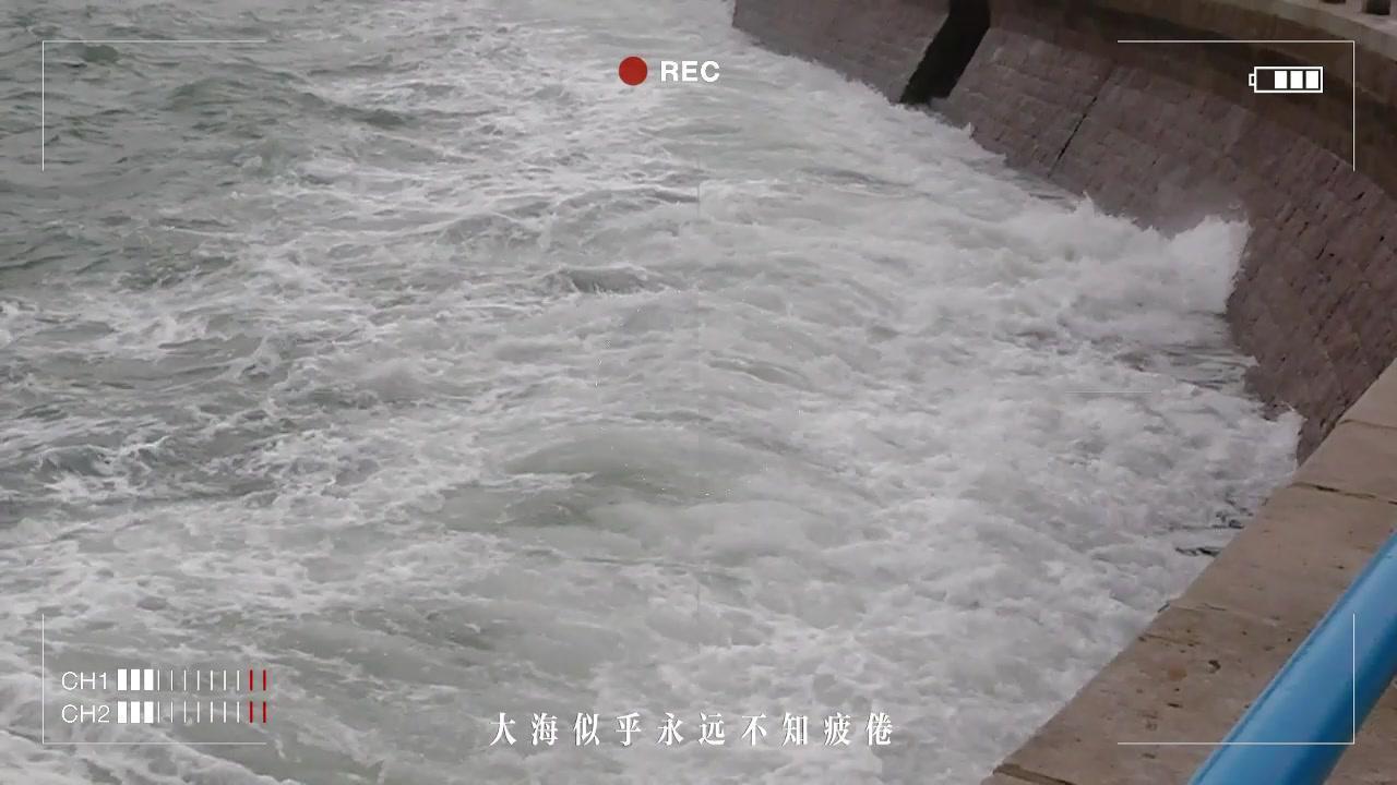 大海似乎永远都不知疲倦,涨潮,退潮,卷浪拍案,日复一日。青岛,这座...