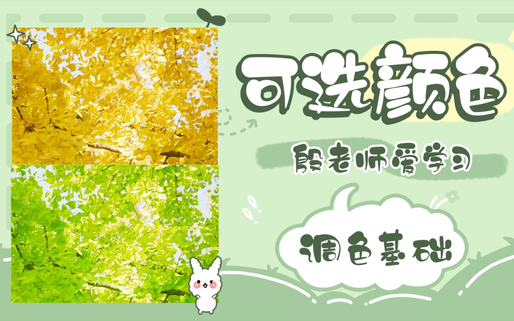 PS摄影后期基础调色/可选颜色/金黄银杏变绿叶