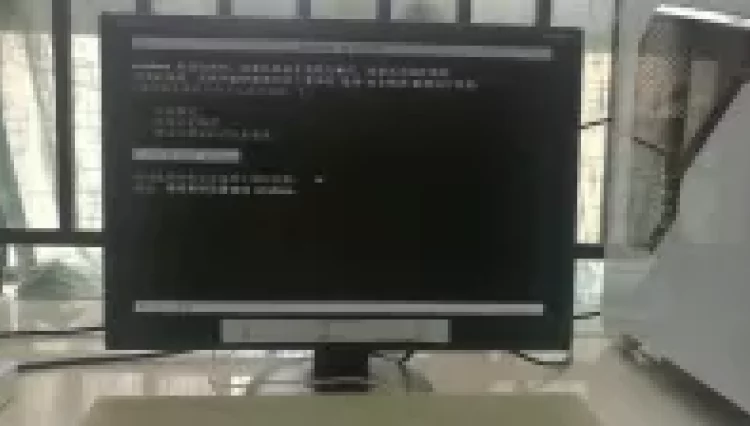 开机就是黑屏一个鼠标