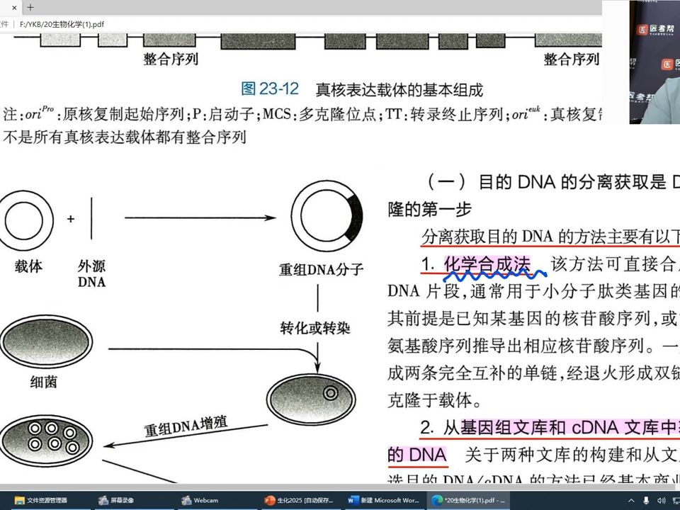 02.重组DNA技术的基本原理及操作步骤、常用的载体-医考帮-侯英建