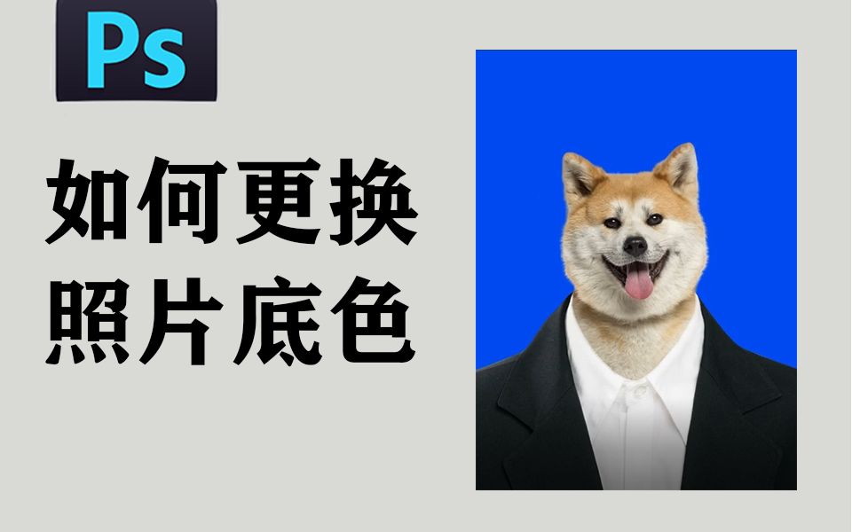 【PS教程】PS秒换证件照底色教学