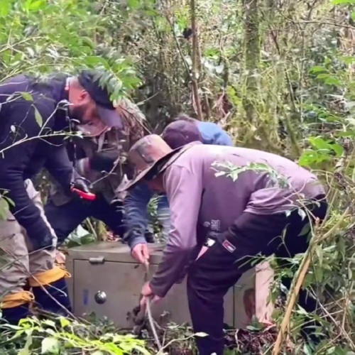 森林里发现一个保险箱,打开后惊呆了