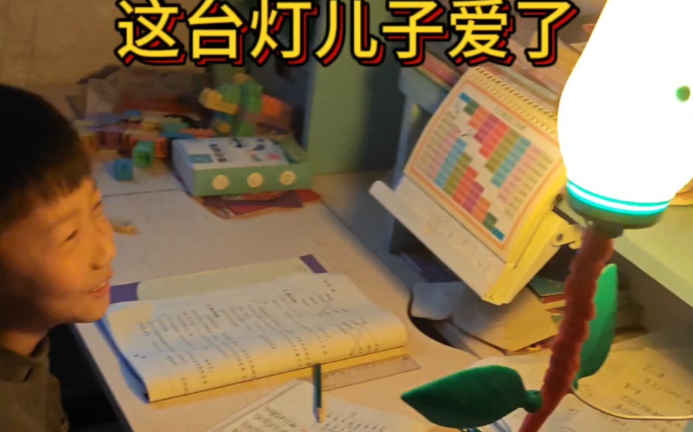 3d打印台灯豌豆台灯儿子笑得合不拢嘴