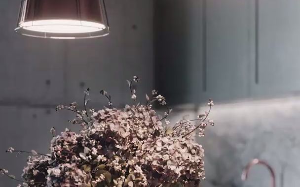 60 秒内设置 V-Ray 相机的景深