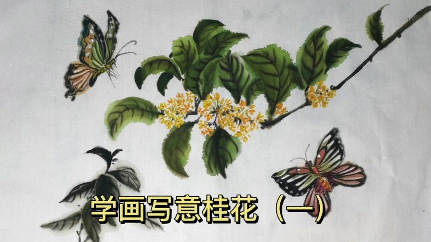 学画写意桂花(一)