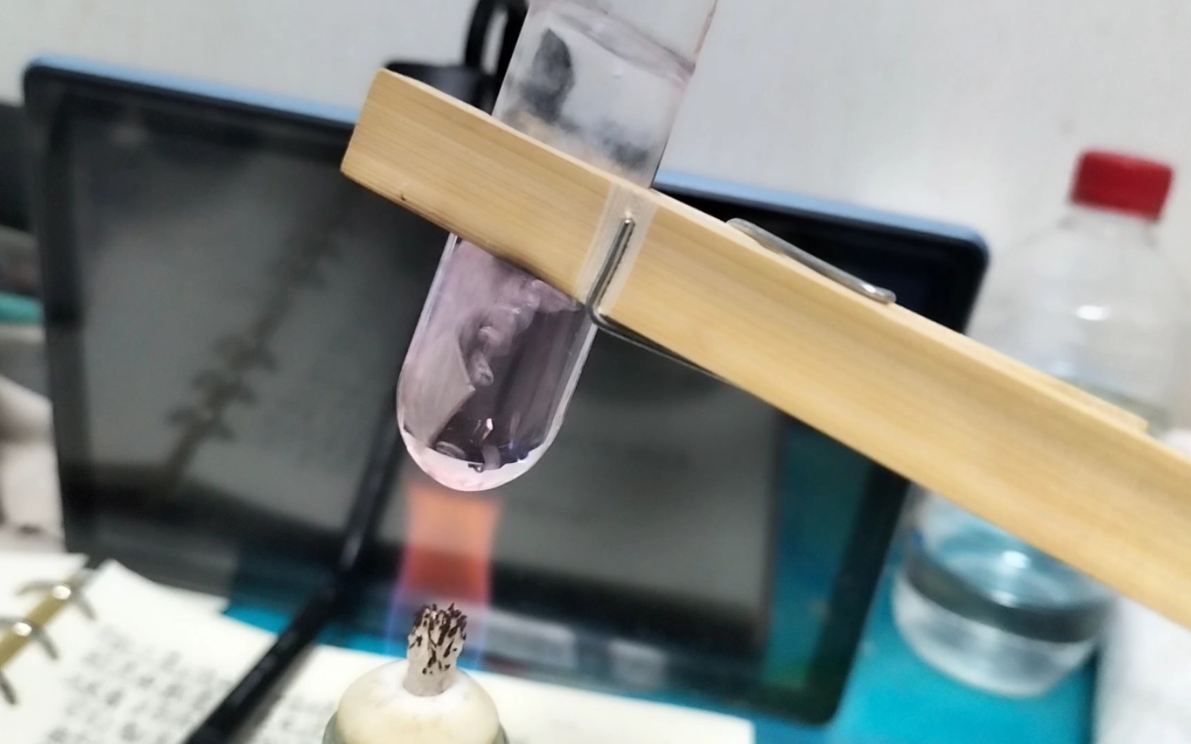 镁和水反应产生氢氧化镁使酚酞变色