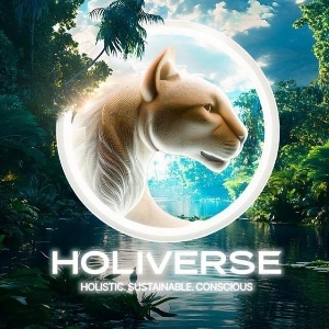 Holiverse追梦 