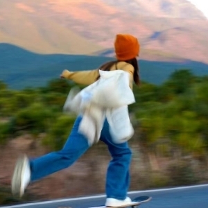 吃仙人球的哈士奇 