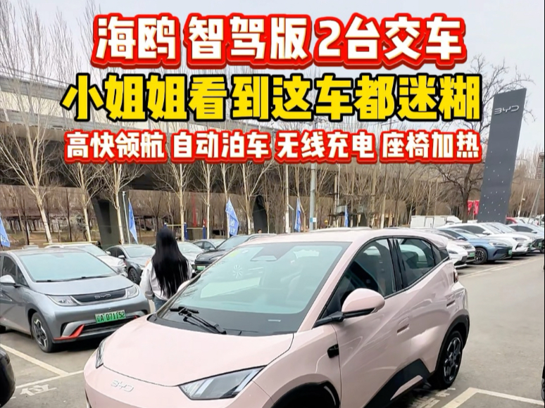 #海鸥智驾版 昨天到车,今天交车。这小车谁看谁迷糊 #沈阳比亚迪