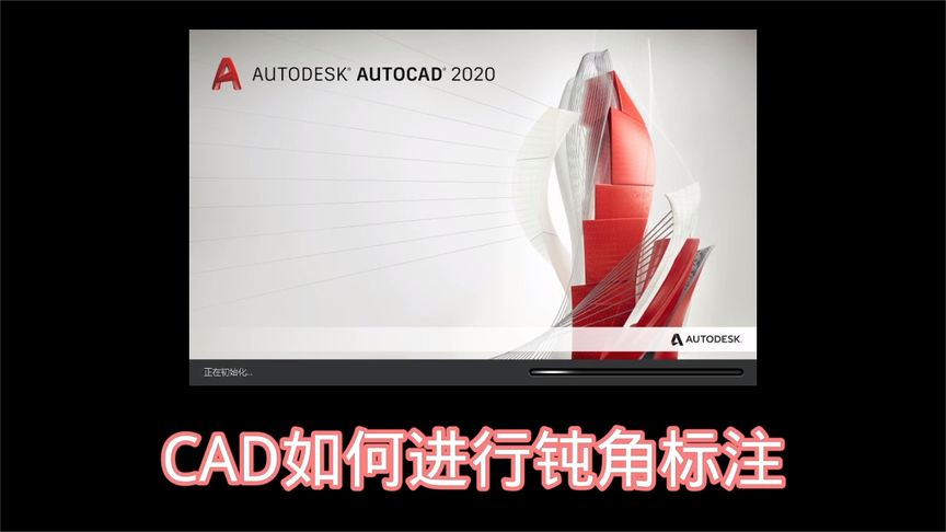 CAD进行锐角标注