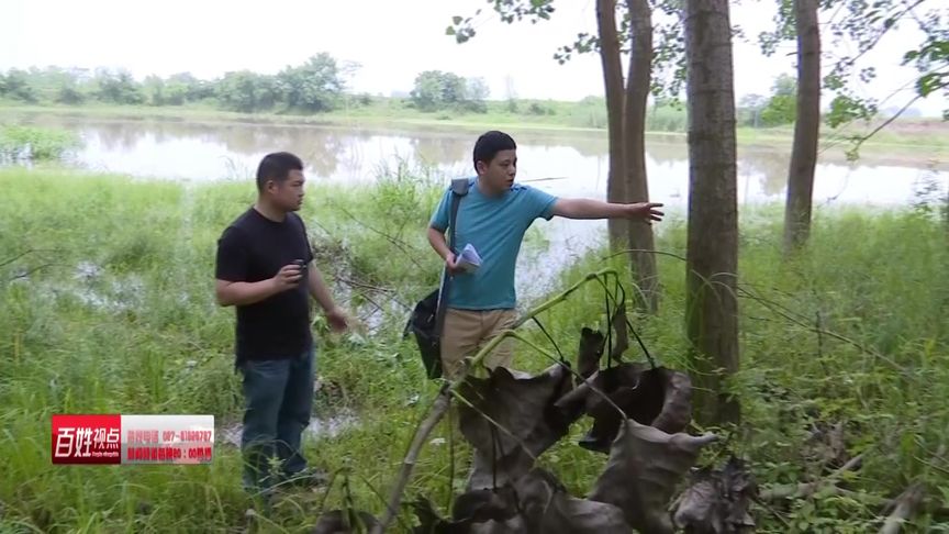 为了保护森林资源,严审批快发证,林业部门执法便民两不误!