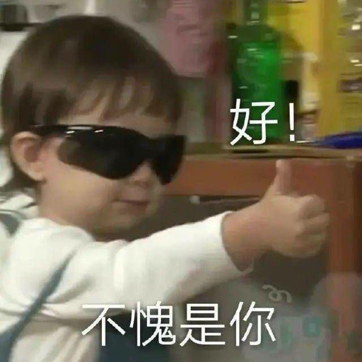 认真学习的爪爪 