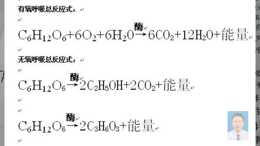 第三章 细胞的代谢 (细胞呼吸有关的作业题)