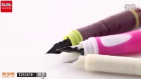 白雪直液式换囊钢笔