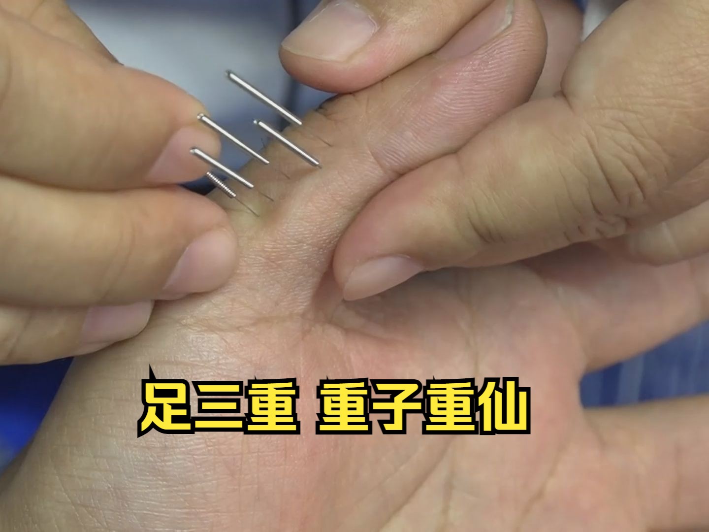刘红云:足三重 重子重仙