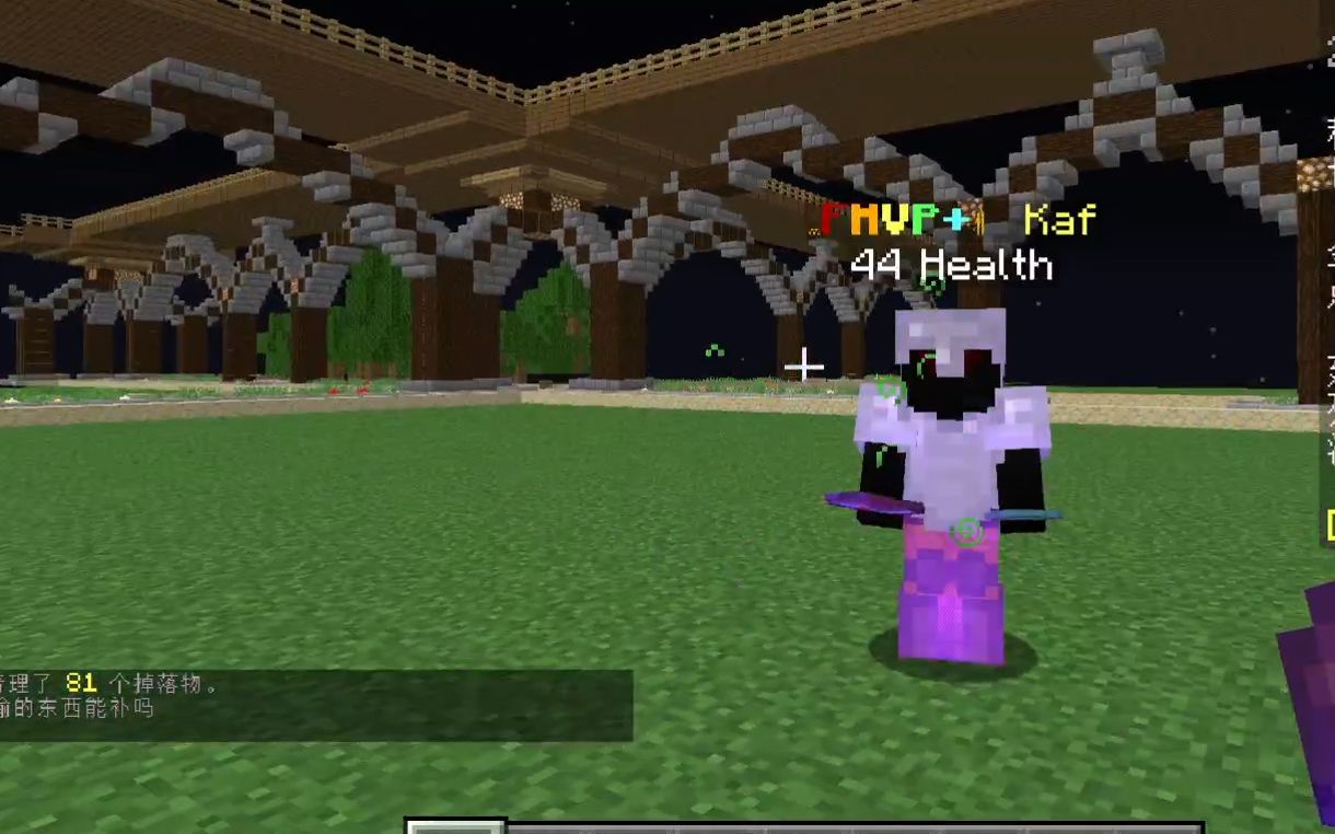 当 玩 家 (被 扔)飞 的 时 候_哔哩哔哩bilibili_我的世界