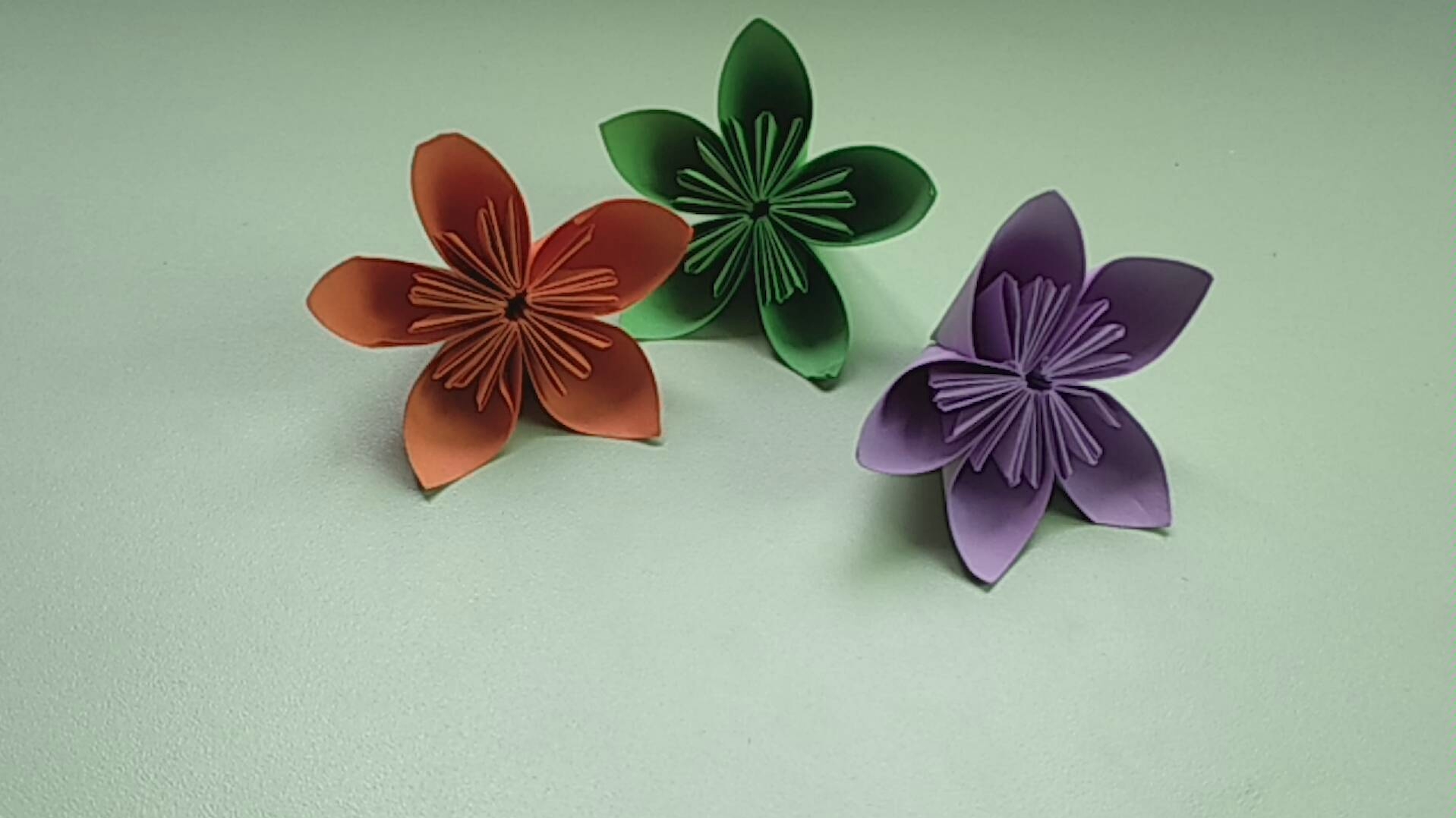 教你如何用一张纸折樱花,一分钟轻松学会!