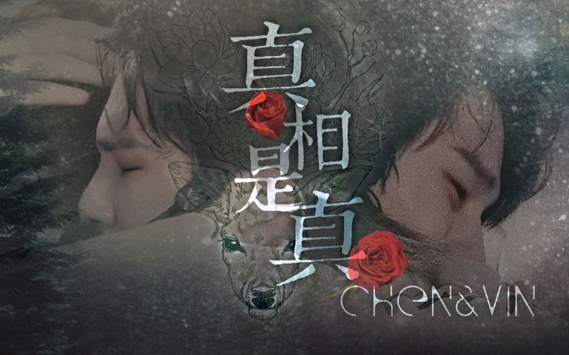 【琛南旧事】我真的陪他淋过大雨。| 真相是真