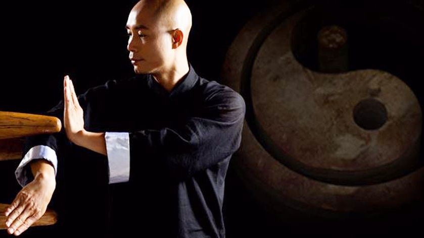 [功夫传承]功夫文化走向产业化道路