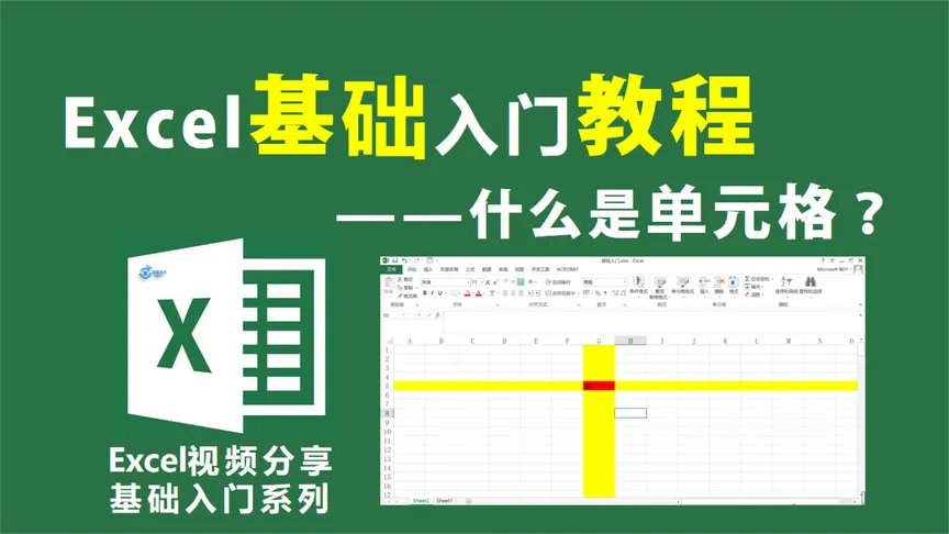 Excel基础入门教程—单元格基础介绍【信息技术小课堂】