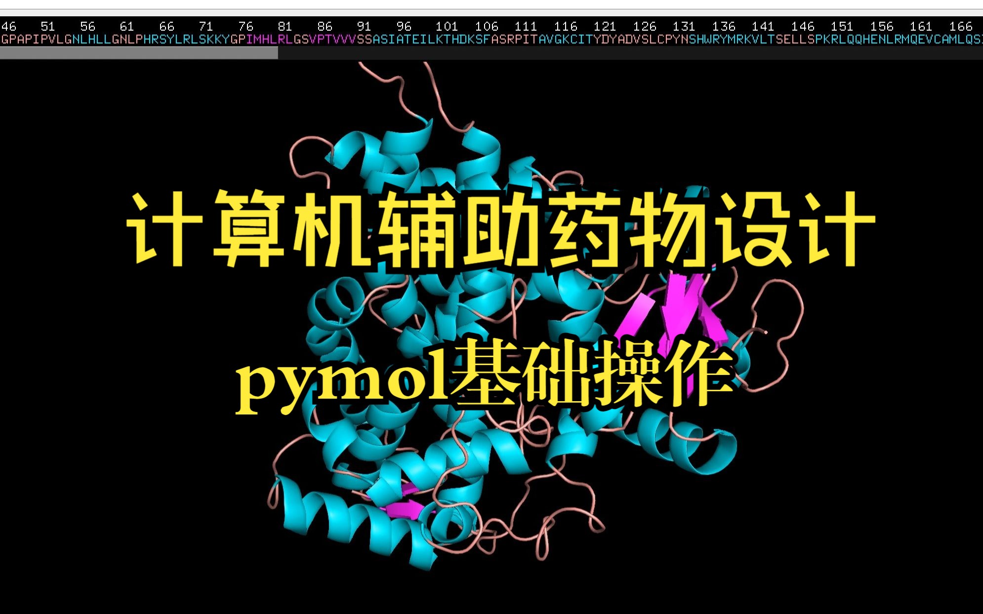 【计算机辅助药物设计】之 pymol基础操作