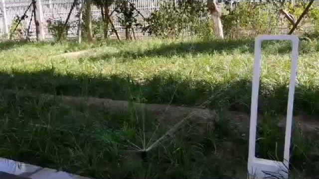 道路隔离带浇灌布置图 #cad图纸 #绿化带灌溉 #园林灌溉