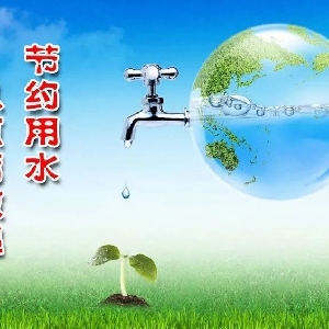 小可爱欧其林 