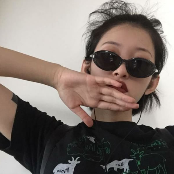 加莱之虎 