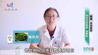 有来医生: 枸杞叶的营养价值及功效