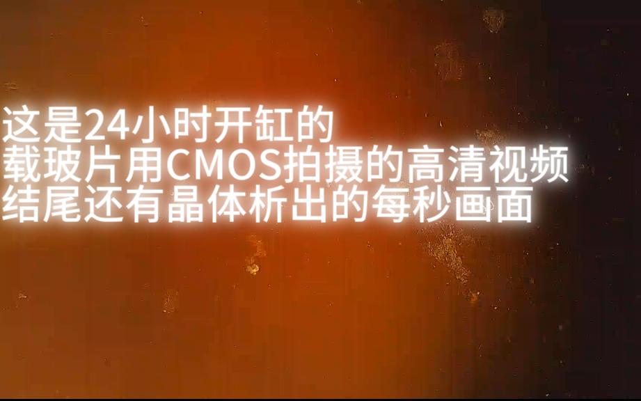 海缸24小时开缸载玻片细菌观察电子眼400倍
