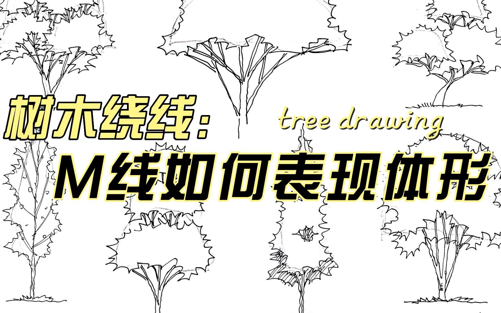 【景观手绘】树木M线怎么画?