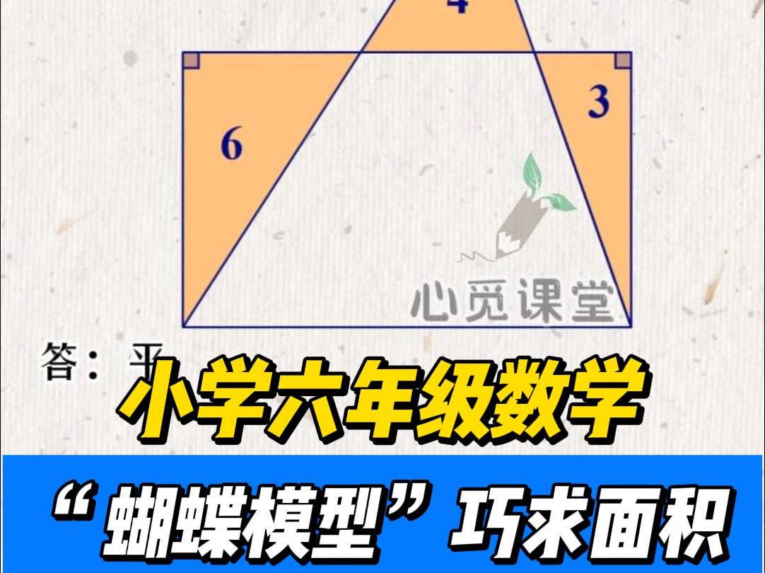 小学六年级数学蝴蝶模型巧求面积 #小学数学#数学思维#几何动画