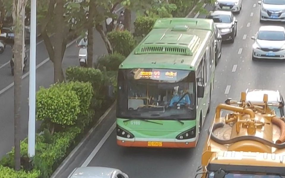 沛鸿中学门口拍南宁公交申沃熊猫眼,鹰眼宇通,亚星客车;白马公交安凯...