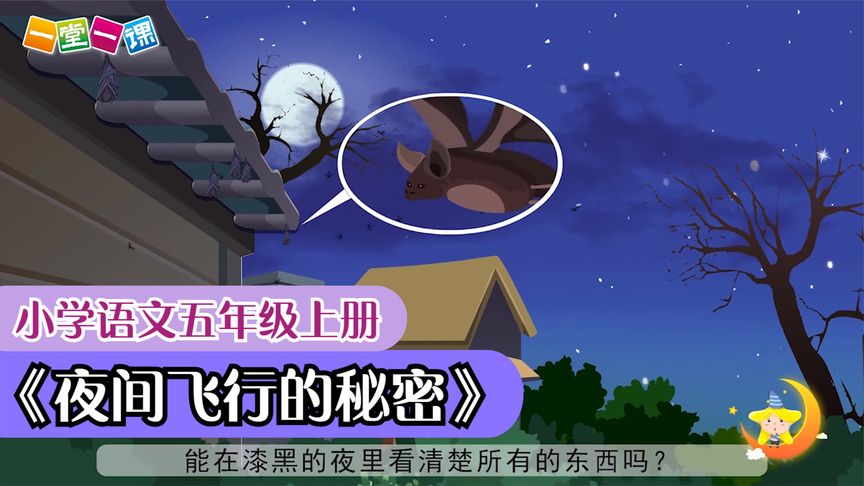 小学语文课文动画 四年级上册《夜间飞行的秘密》(一堂一课APP)