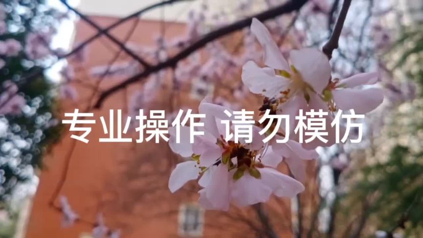 #解压视频 #解压 #实景拍摄 #专业操作请勿模仿